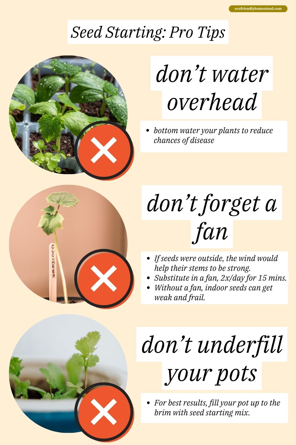 Solve Seedling Troubles: Expert Tips for Indoor Seed Starting Success